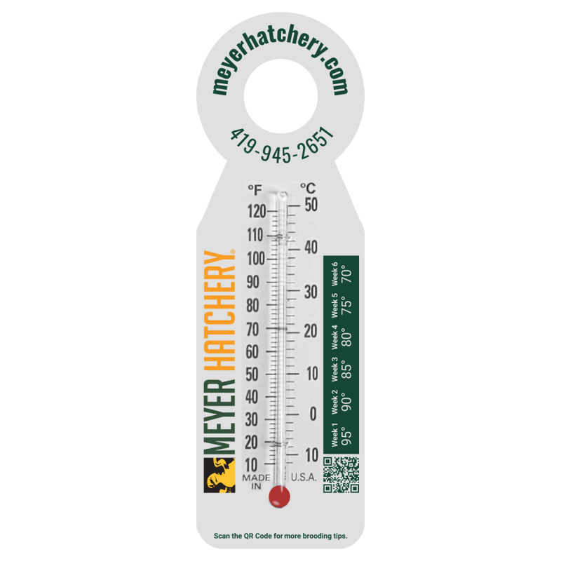 Meyer Hatchery Brooder Thermometer