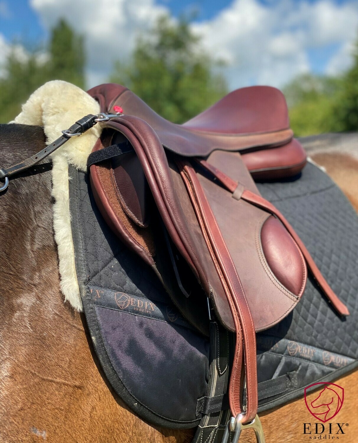 Soft Tree Saddles