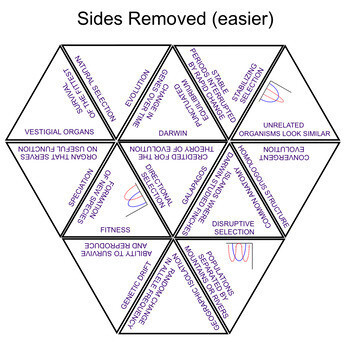 Evolution Tarsia Puzzle - Store - Science Lessons That Rock