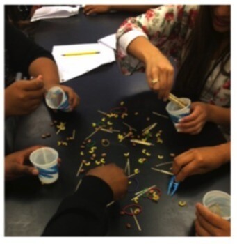 Beaks Lab Natural Selection Activity - Store - Science Lessons That Rock