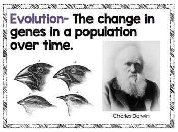 Evolution Posters - Store - Science Lessons That Rock
