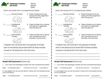 Evolution and Classification Exit Tickets - Store - Science Lessons ...