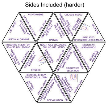 Evolution Tarsia Puzzle - Store - Science Lessons That Rock