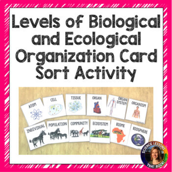 Levels of Organization Card Sort Activity - Store - Science Lessons ...