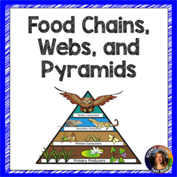 Food Chains, Webs, and Trophic Pyramids - Store - Science Lessons That Rock