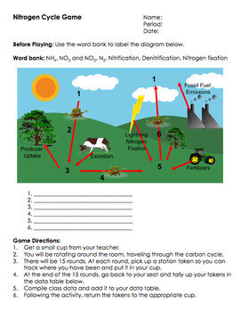 Nitrogen Cycle Game - Store - Science Lessons That Rock