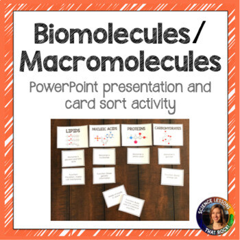 Macromolecules Lesson - Store - Science Lessons That Rock