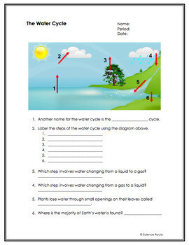 Biogeochemical Cycles Worksheets - Store - Science Lessons That Rock