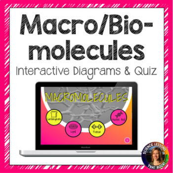 Macromolecules Biomolecules Interactive Diagram - Store - Science ...