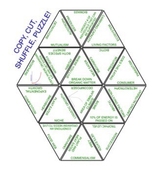 Ecology Tarsia Puzzle - Store - Science Lessons That Rock