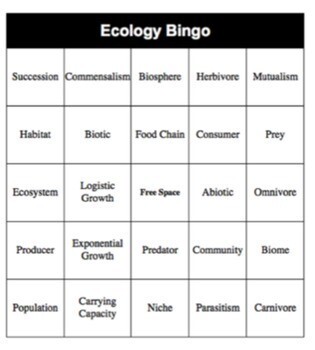 Ecology Bingo Vocabulary Review Game - Store - Science Lessons That Rock