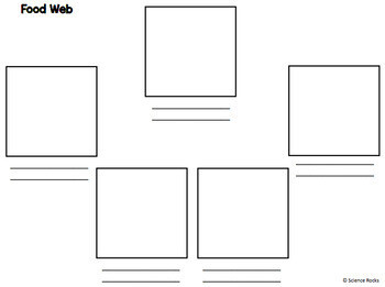 Create Your Own Food Chain and Web - Store - Science Lessons That Rock