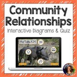 Symbiosis and Community Relationships Interactive Diagram - Store ...