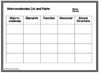 Macromolecules Review Chart for INB - Store - Science Lessons That Rock