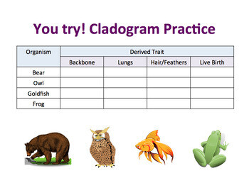 Cladogram powerpoint - Store - Science Lessons That Rock
