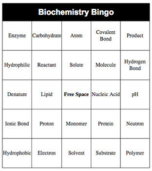 Biochemistry Bingo Vocabulary Review Game - Store - Science Lessons ...