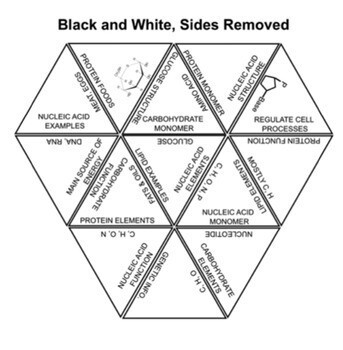 Macromolecules Tarsia Puzzle - Store - Science Lessons That Rock