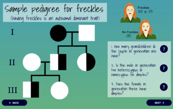 Pedigree Charts Interactive Diagram - Store - Science Lessons That Rock