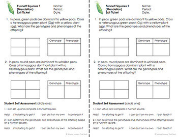 Genetics Exit Tickets - Store - Science Lessons That Rock