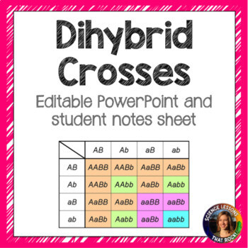Dihybrid Crosses Punnett Square Lesson - Store - Science Lessons That Rock