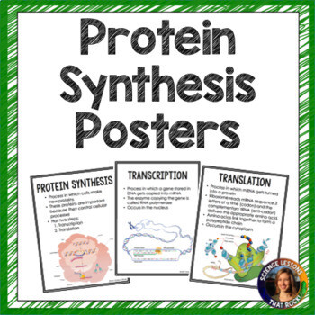 Protein Synthesis Posters - Store - Science Lessons That Rock