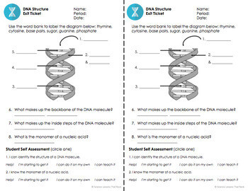 Genetics Exit Tickets - Store - Science Lessons That Rock