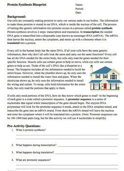 Protein Synthesis Blueprint Activity - Store - Science Lessons That Rock