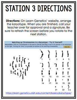 Karyotype Station Lab - Store - Science Lessons That Rock