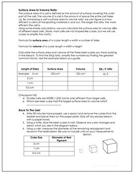 Cell Size Lab: Surface Area to Volume lab - Store - Science Lessons ...