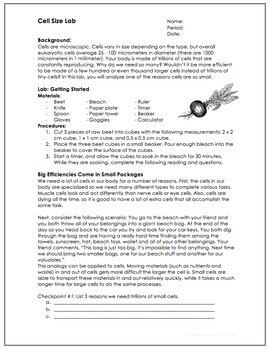 Cell Size Lab: Surface Area to Volume lab - Store - Science Lessons ...
