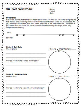 Cell Theory Microscope Stations Lab - Store - Science Lessons That Rock