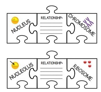Cell Organelle Puzzle Pieces - Store - Science Lessons That Rock