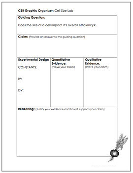Cell Size Lab: Surface Area to Volume lab - Store - Science Lessons ...