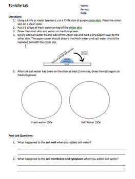 Cell Membrane Osmosis Tonicity Lab - Store - Science Lessons That Rock