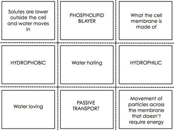 Cell Membrane Vocabulary Review Game - Store - Science Lessons That Rock