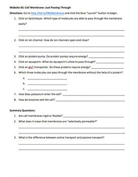 Cell Membrane Webquest - Store - Science Lessons That Rock