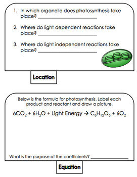 Photosynthesis Flip Book - Store - Science Lessons That Rock