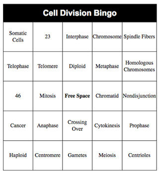 Cell Division Bingo Vocabulary Review Game - Store - Science Lessons ...