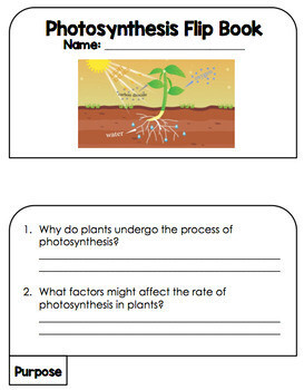 Photosynthesis Flip Book - Store - Science Lessons That Rock