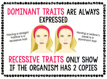 Genetics Poster Set - Store - Science Lessons That Rock