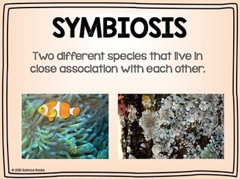 Symbiosis Posters - Store - Science Lessons That Rock
