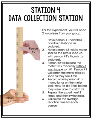 Scientific Method Stations - Store - Science Lessons That Rock