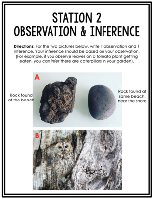 Scientific Method Stations - Store - Science Lessons That Rock