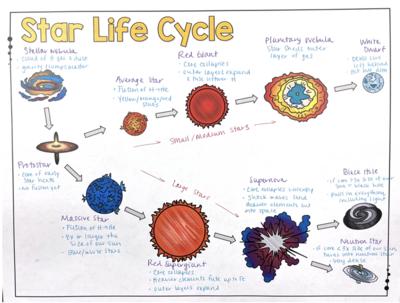 Star Life Cycle - Store - Science Lessons That Rock