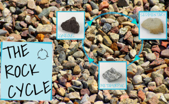 Rock Cycle Interactive Diagram - Store - Science Lessons That Rock