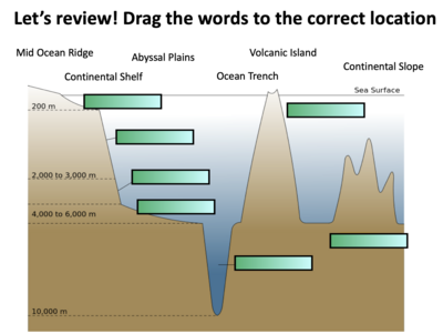 Ocean Floor Geography - Store - Science Lessons That Rock