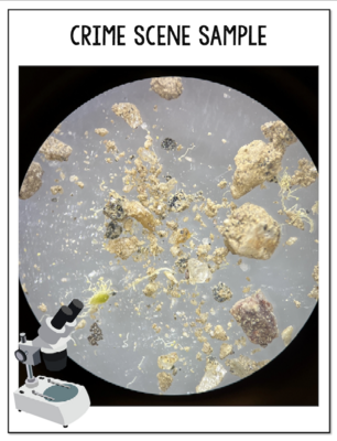 Forensic Geology Lab - Store - Science Lessons That Rock