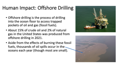 Human Impact on Oceans - Store - Science Lessons That Rock