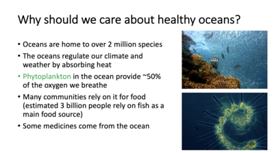 Human Impact on Oceans - Store - Science Lessons That Rock