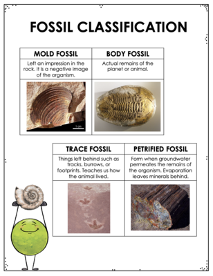 Rock, mineral and fossil classification lab templates - Store - Science ...